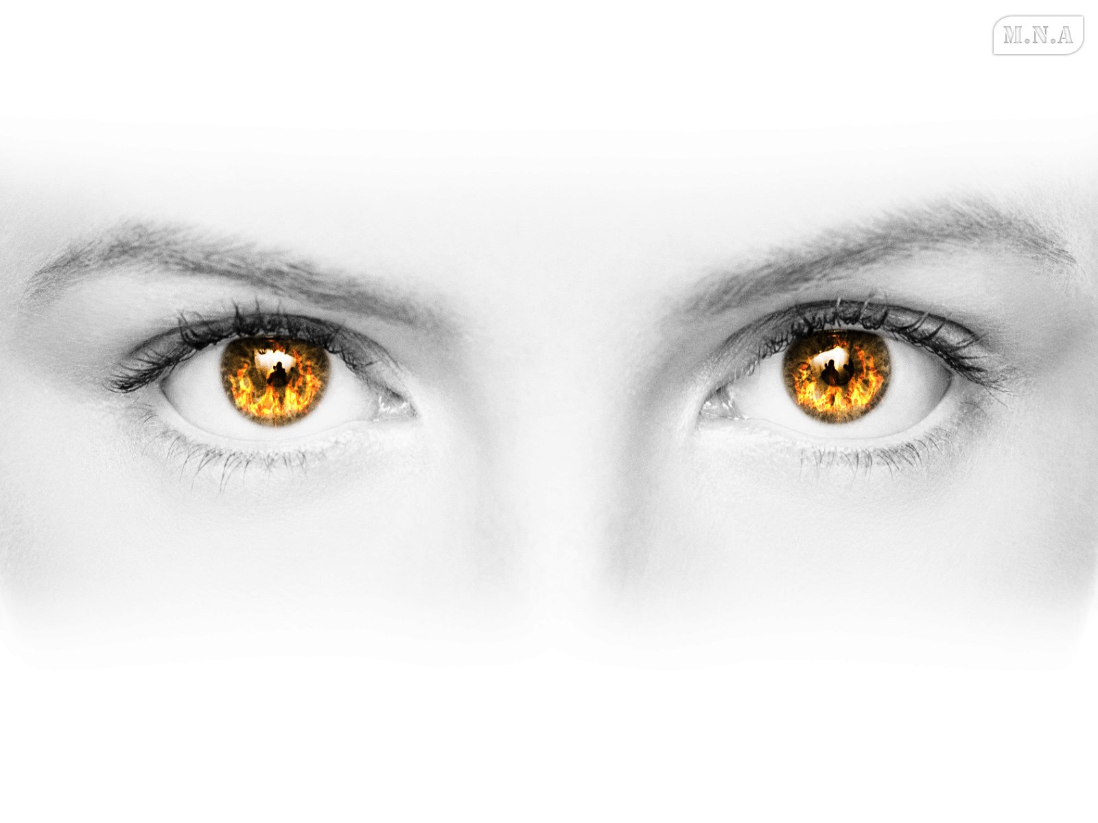 Artistic Gaze: Stunning HD Eye Wallpaper