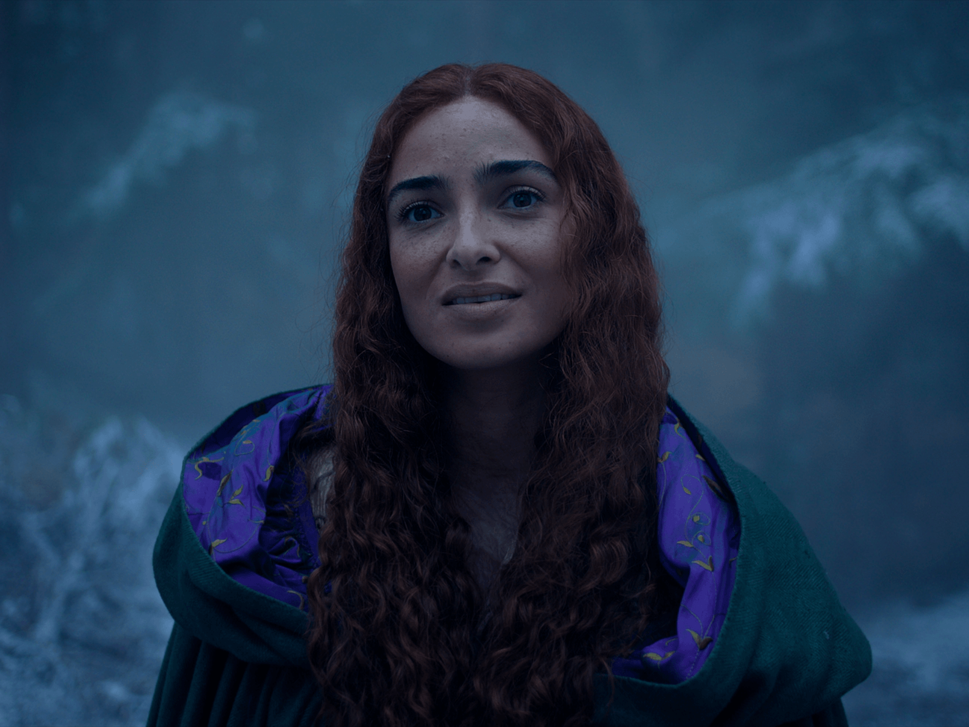 Download Anna Shaffer TV Show The Witcher HD Wallpaper