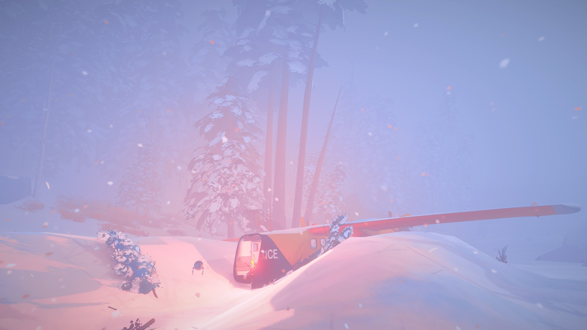 Plane Crash Blizzard by goldfire33