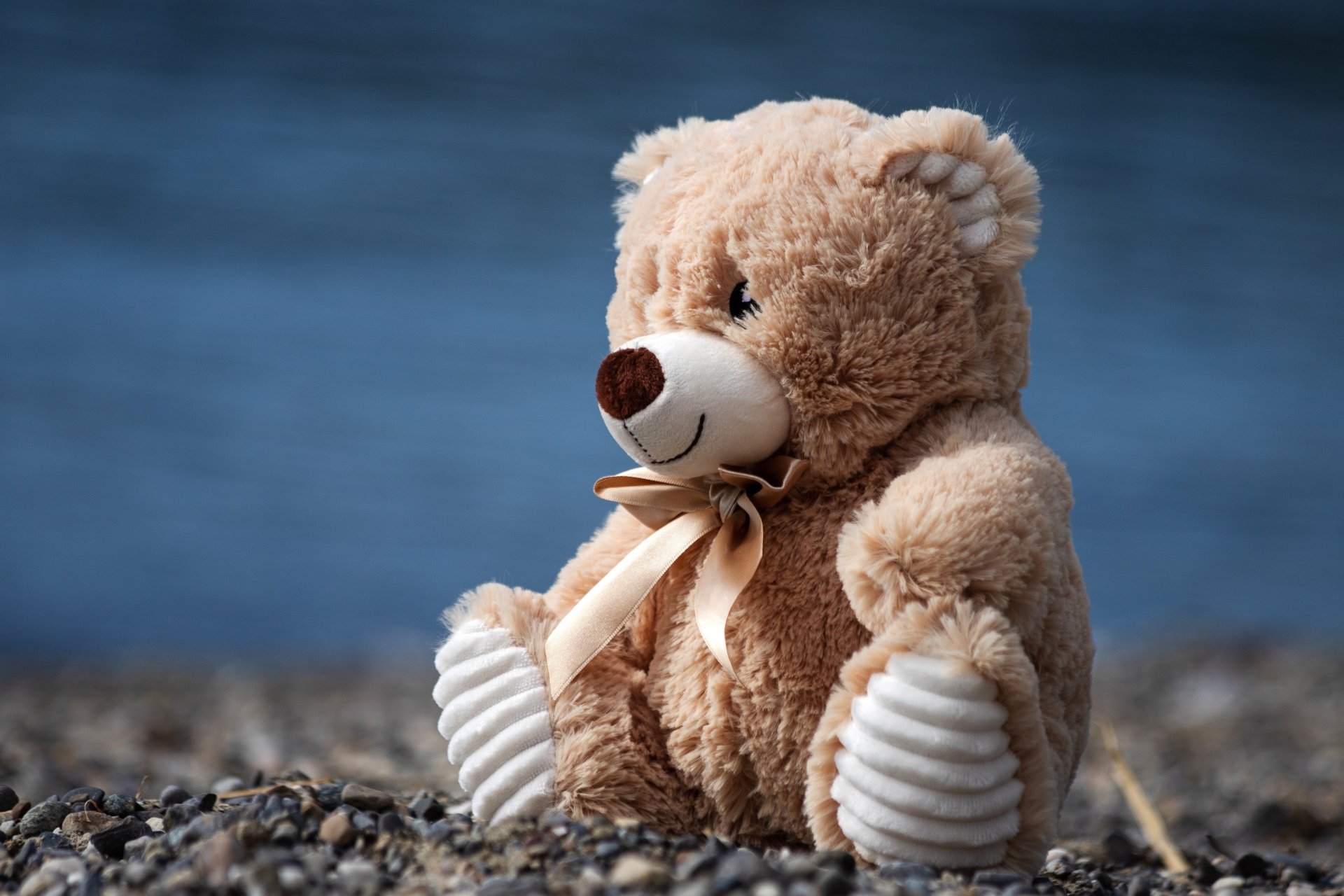 Download Teddy Bear Man Made Stuffed Animal 4k Ultra HD Wallpaper