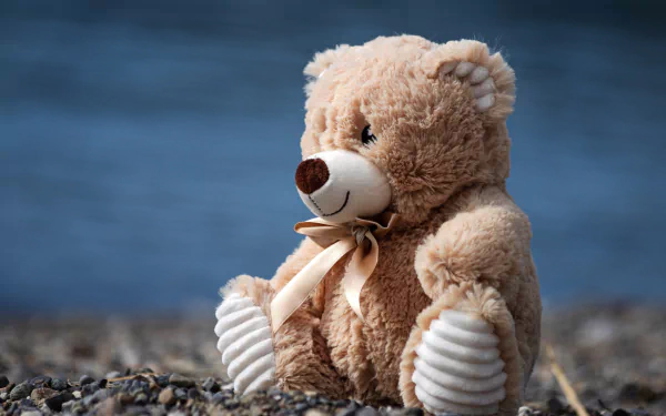 [110+] Teddy Bear 4k Wallpapers