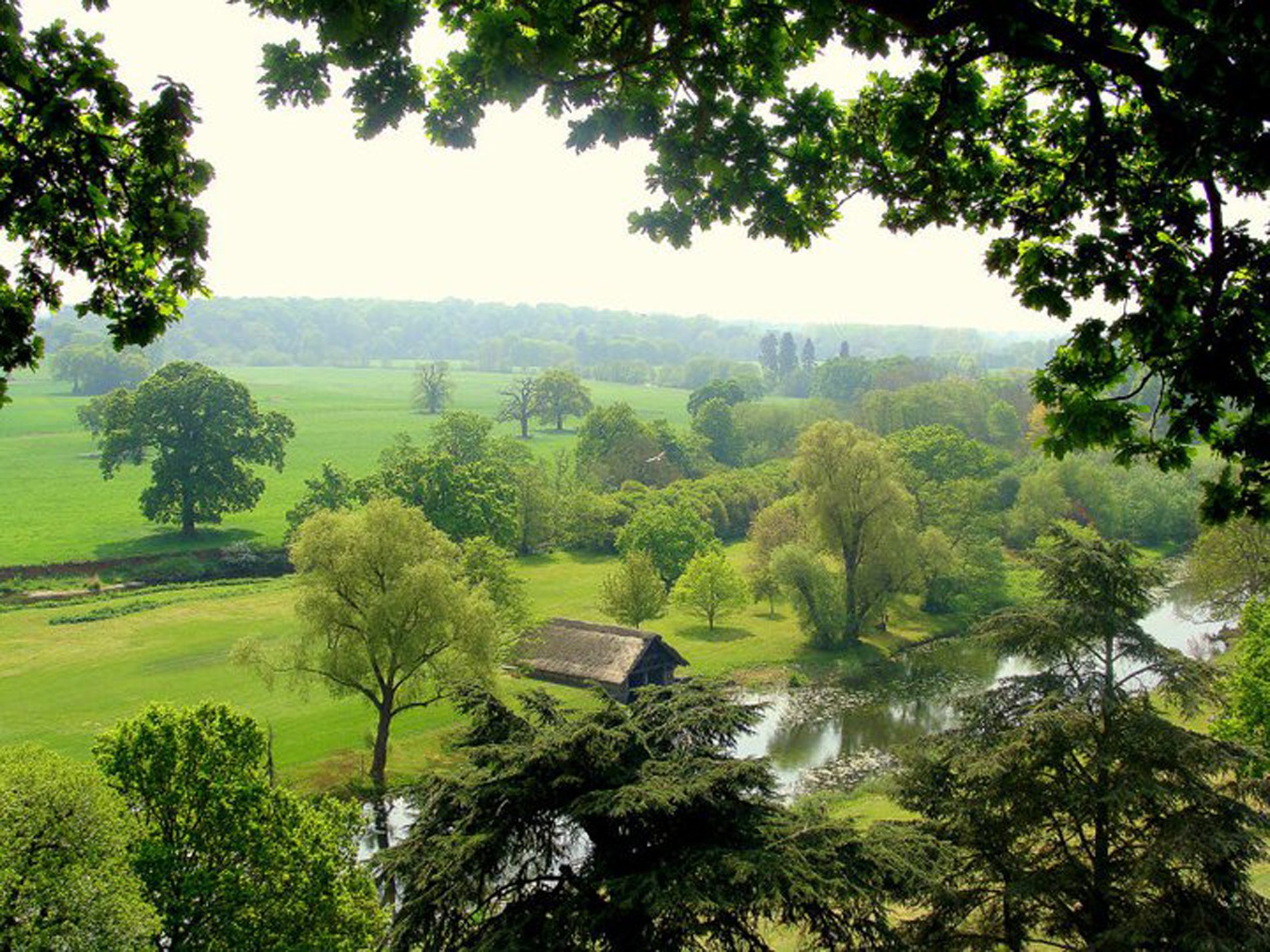 Emerald River Valley — HD Nature Wallpaper