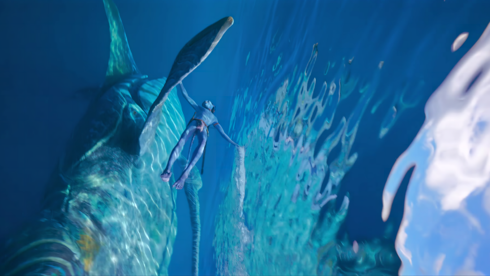 Download Ocean Water Avatar: The Way Of Water 4k Ultra HD Wallpaper