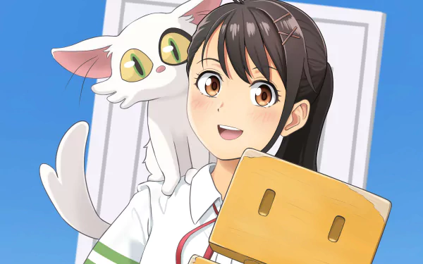 [10+] Daijin (Suzume No Tojimari) Wallpapers