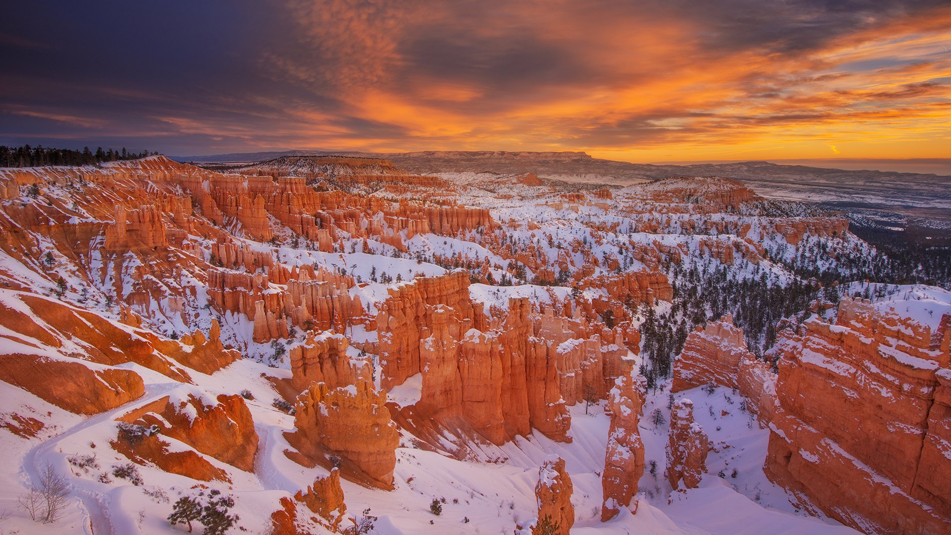 Download Nature Bryce Canyon National Park HD Wallpaper