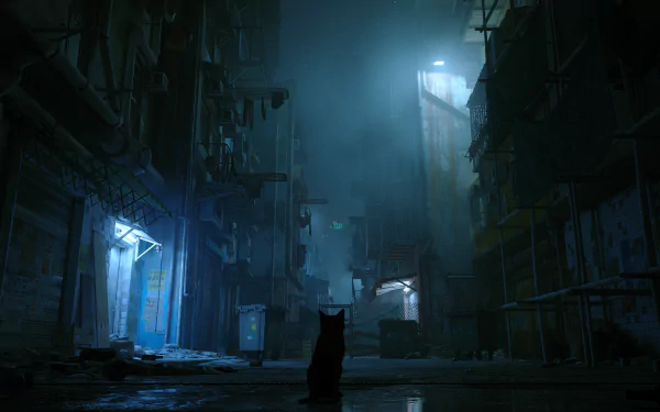 Stray - Dead City by ThiccOniichan