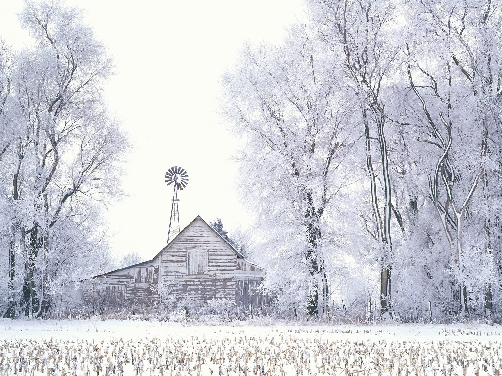 Winter Wonderland: HD Wallpaper of a Snowy Farm Landscape