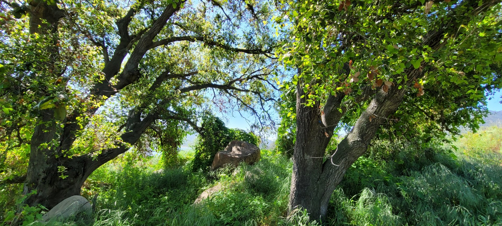 Hiking in Greater San Diego County – Landscape Photography by Dr-Pen ...