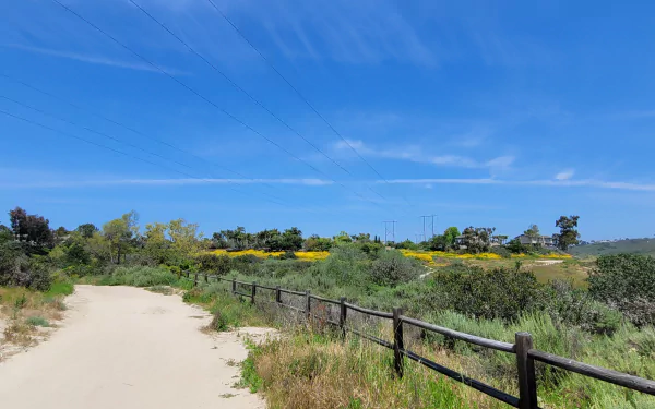 [80+] Southern California Wallpapers