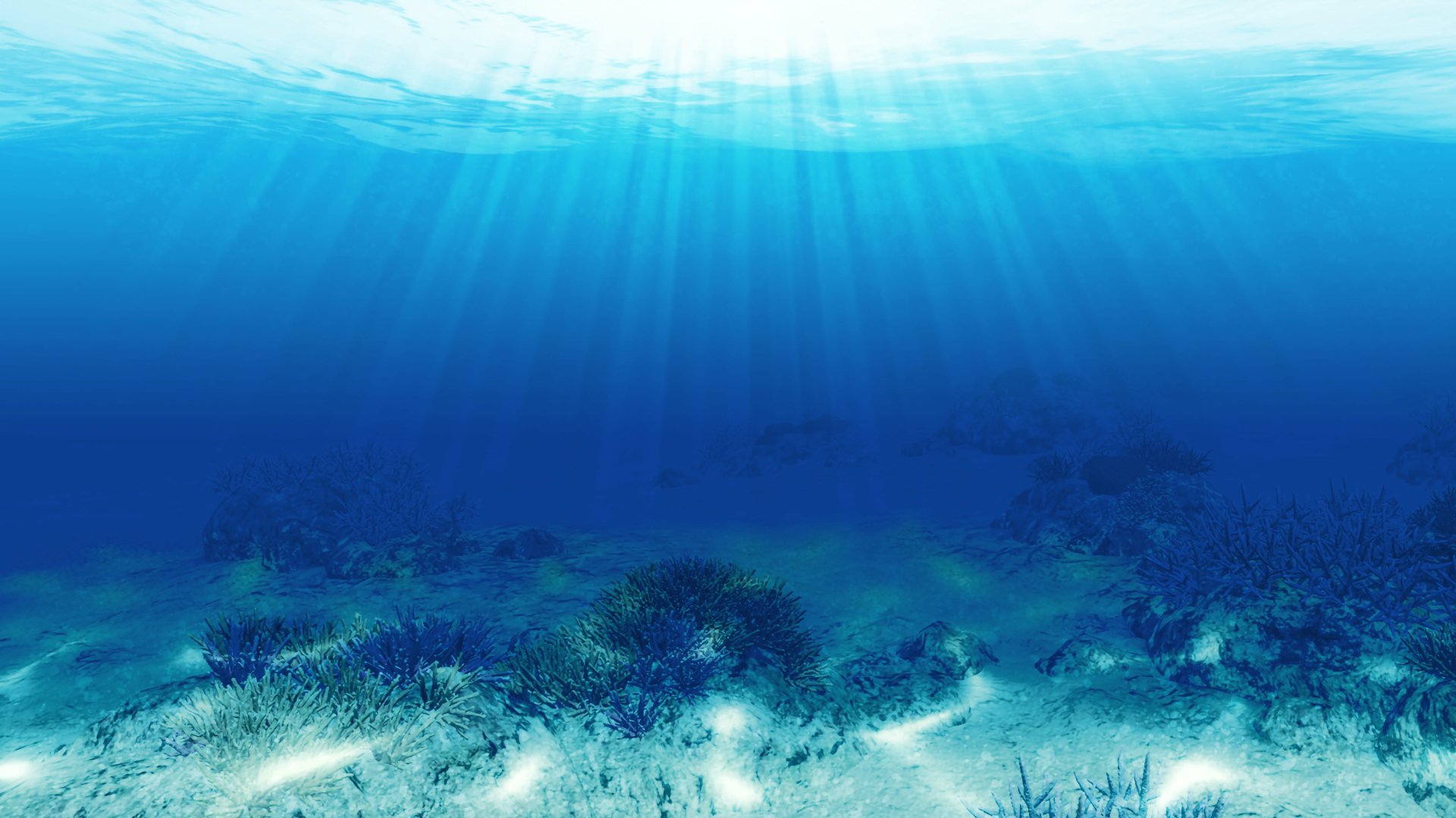 Endless Ocean 8k Wallpapers