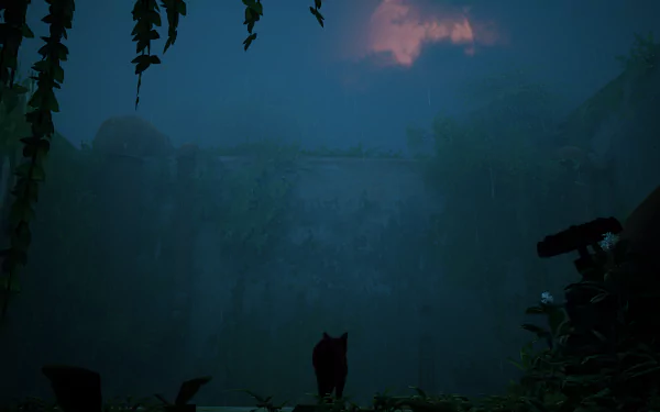 Download Video Game Stray 4k Ultra HD Wallpaper