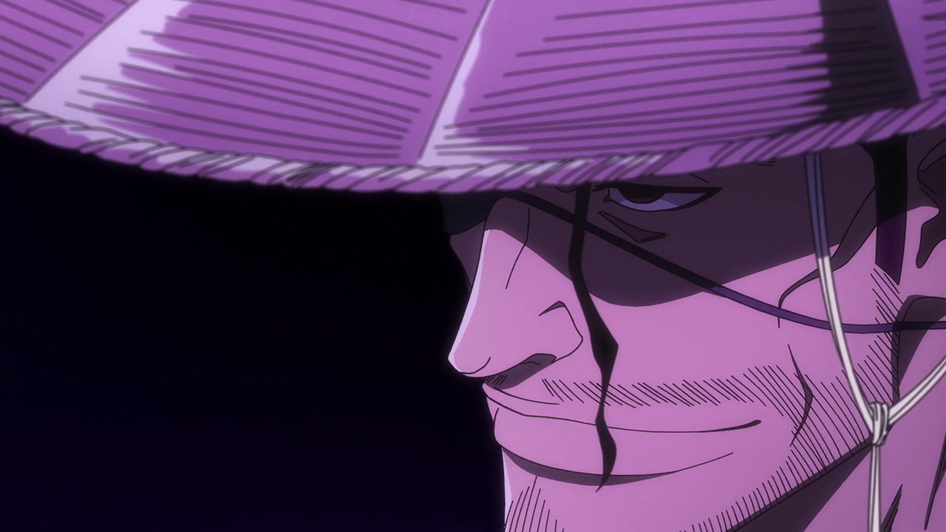 Download Shunsui Kyōraku HD Wallpaper