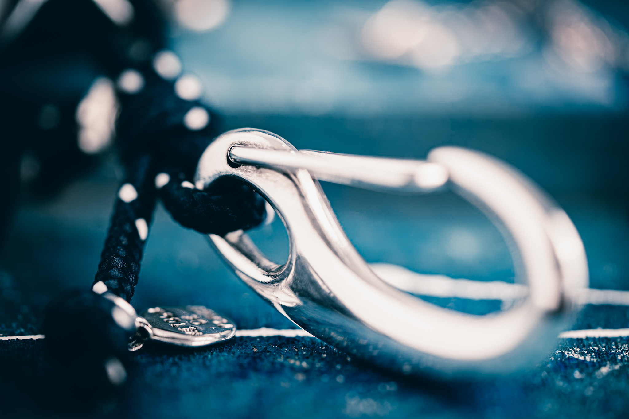 Download Macro HD Wallpaper