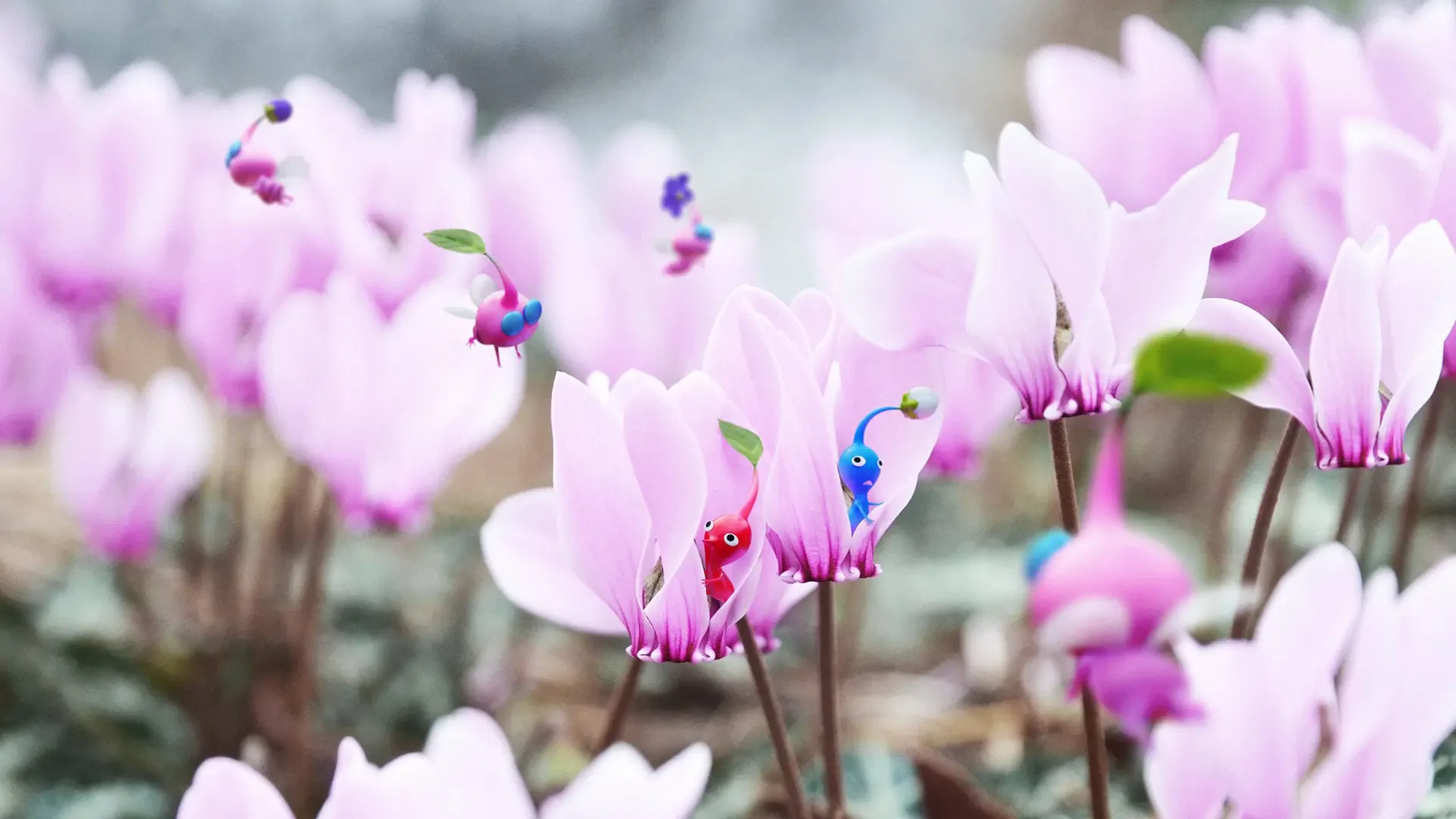 Download Pikmin HD Wallpaper