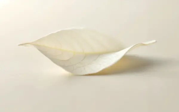 [700+] Leaf 4k Wallpapers