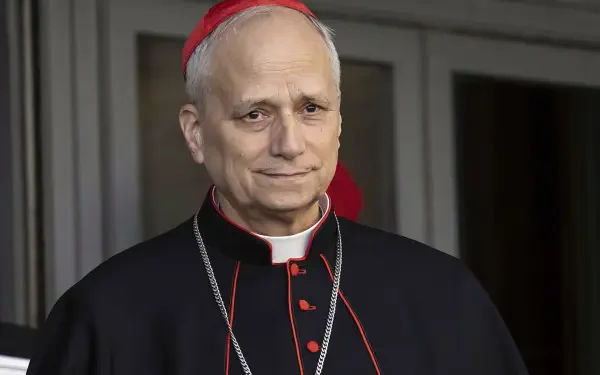 Pope Francis HD Wallpaper: Official Moment with Cardinal by Robert Prevost