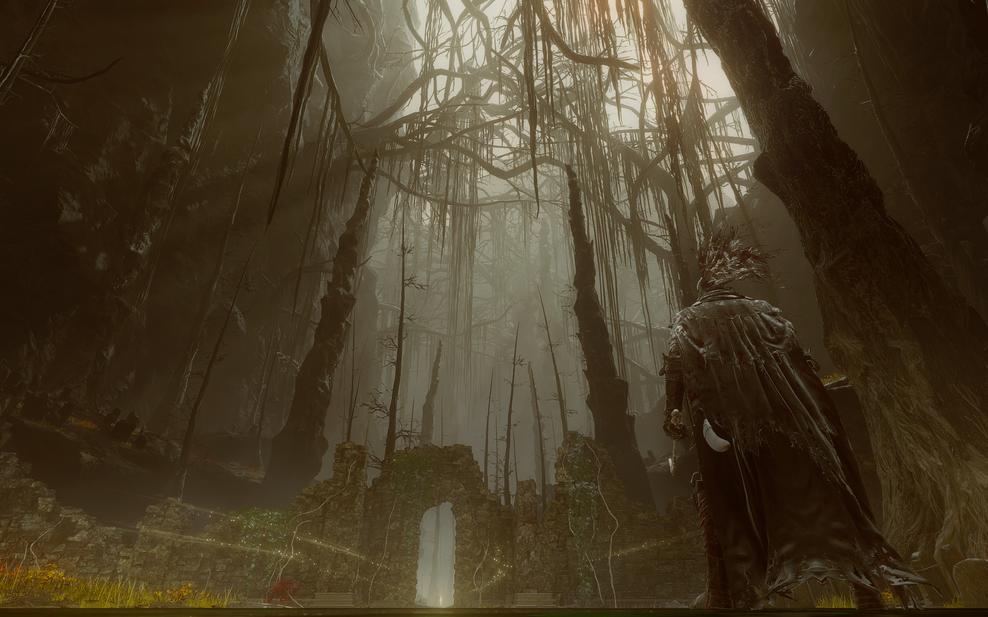 Elden Ring — Shadow of the Erdtree: Withered Gate (HD Wallpaper)