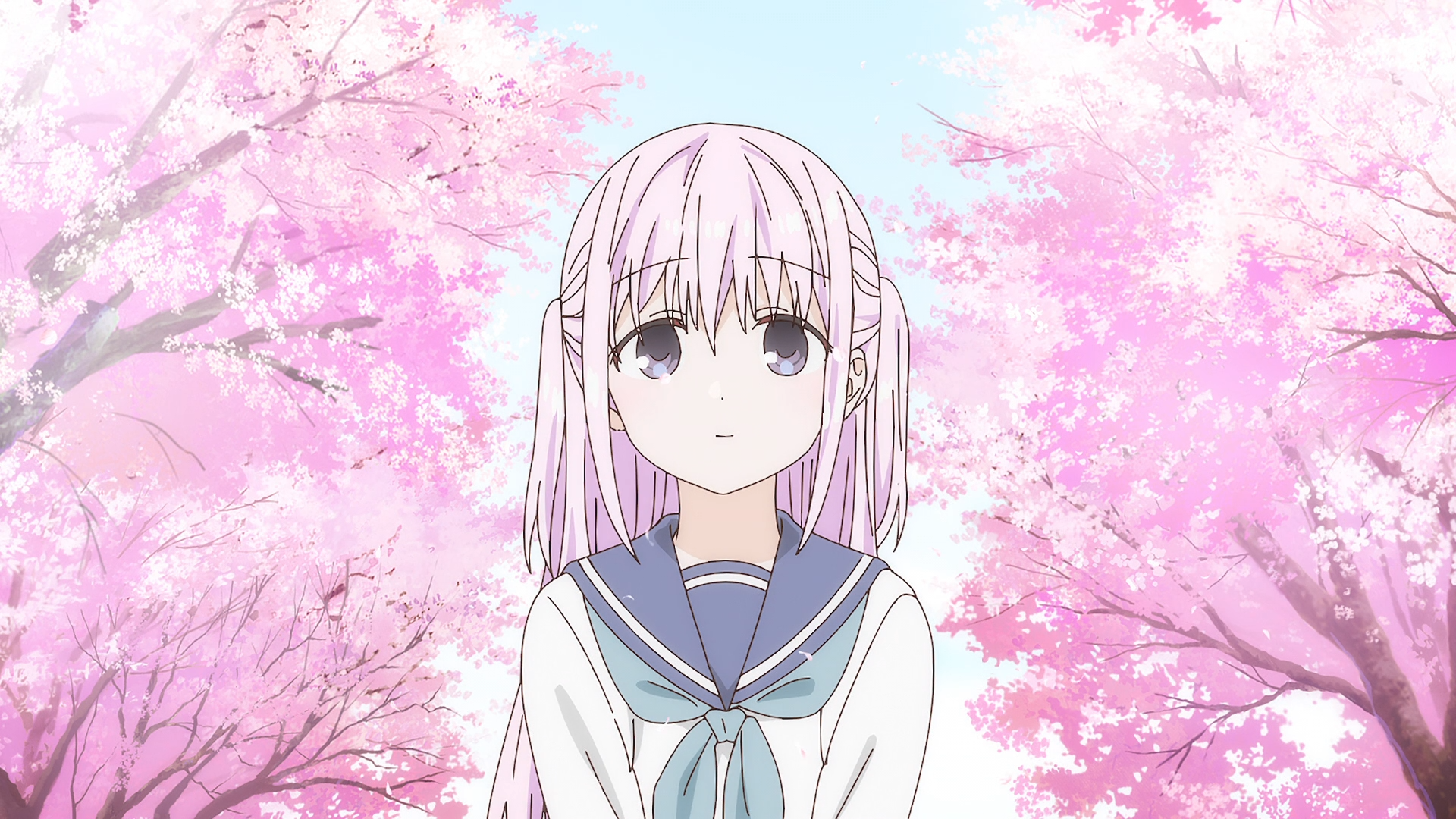 Inexpressive Kashiwada & Expressive Oota — Sakura HD Wallpaper