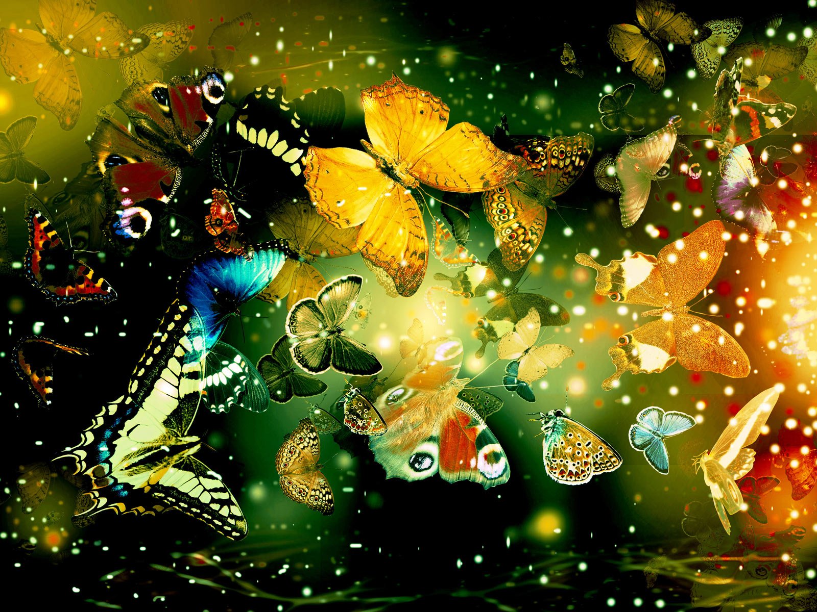 Download Artistic Butterfly Wallpaper