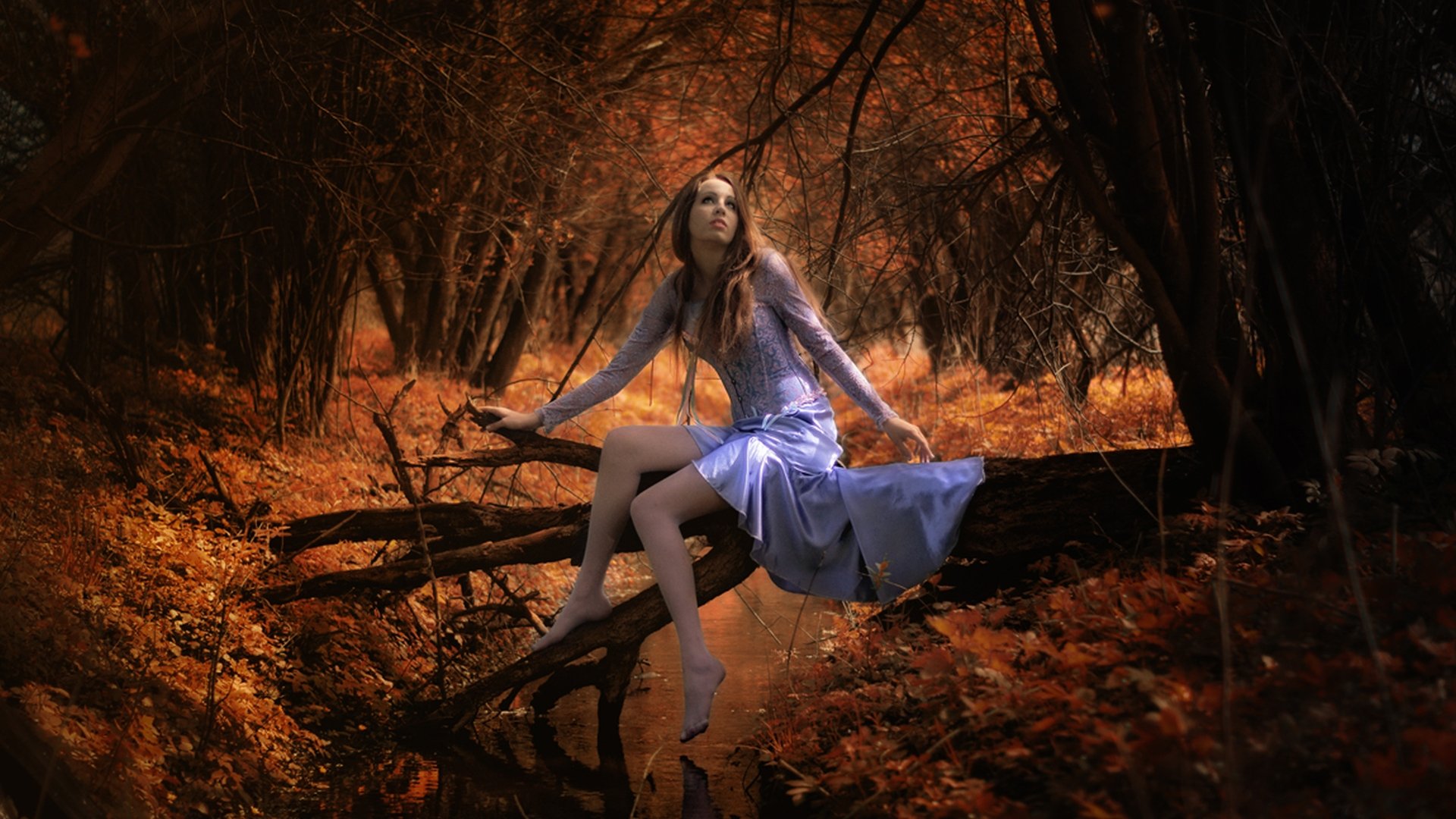 Forest Woman Wallpaper Ndash