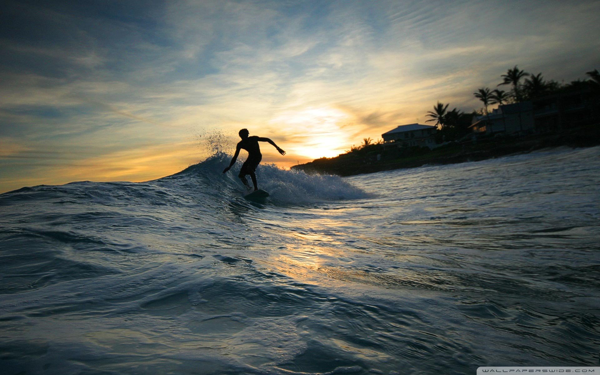 Download Surfing Sports HD Wallpaper