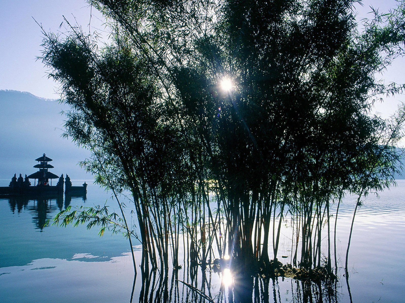Serene Sunlit Lake View with Trees – HD Nature Wallpaper | 1600x1200 ...