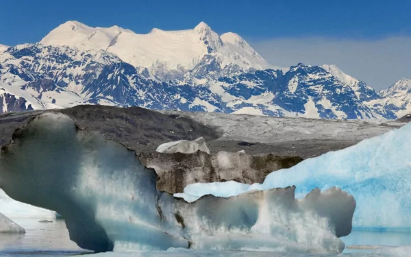 Download Alaska Baby Animal Cub Bear Snow Animal Polar Bear HD Wallpaper