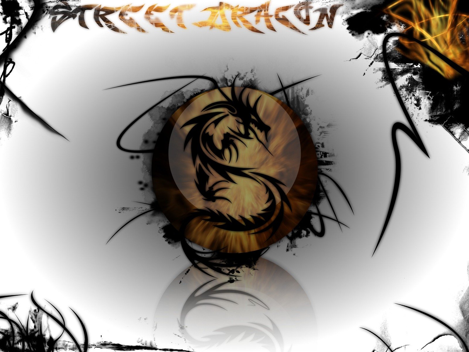 Epic Fantasy Dragon: HD Wallpaper Art
