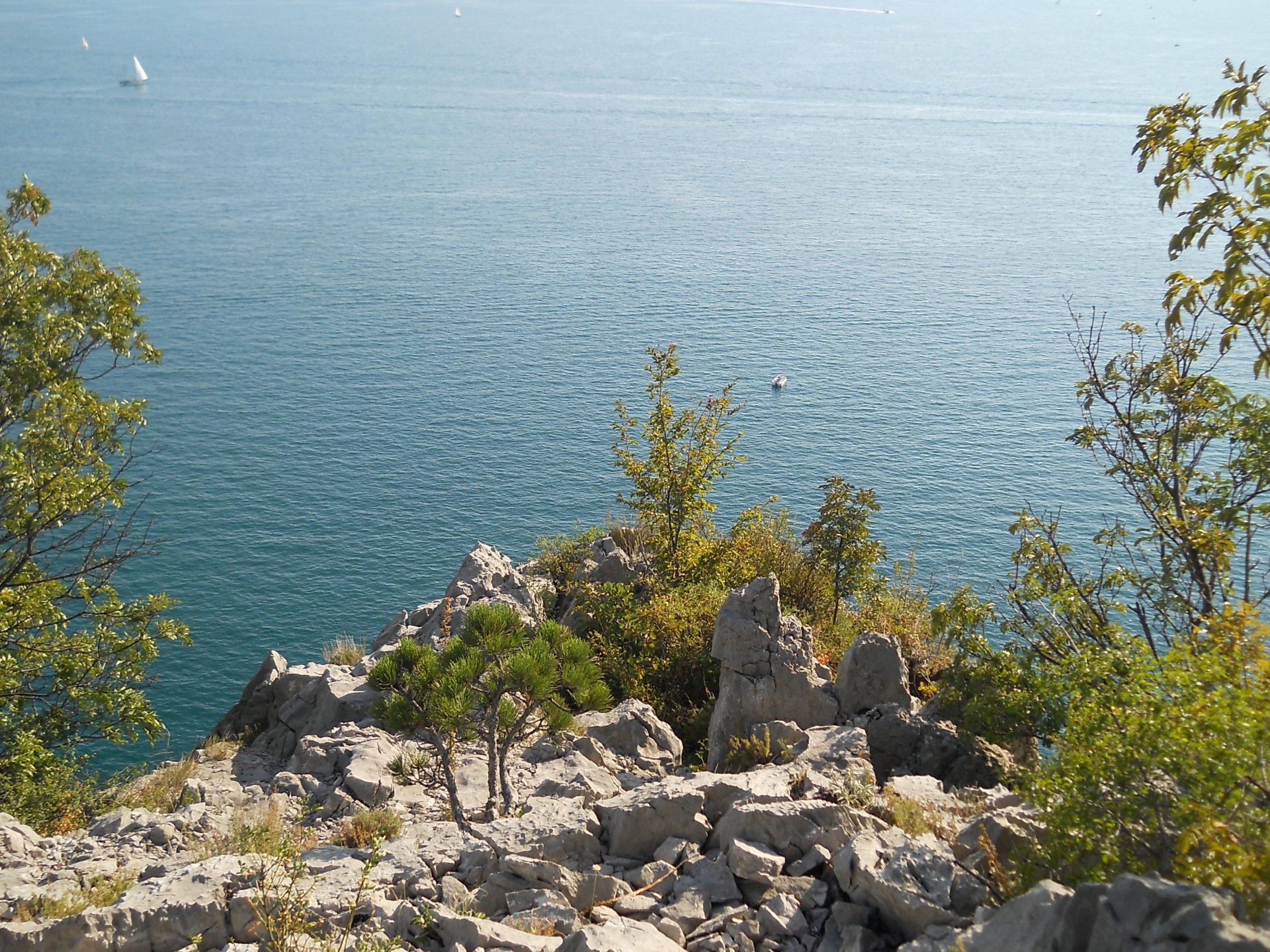 Golfo di Trieste by mikevero