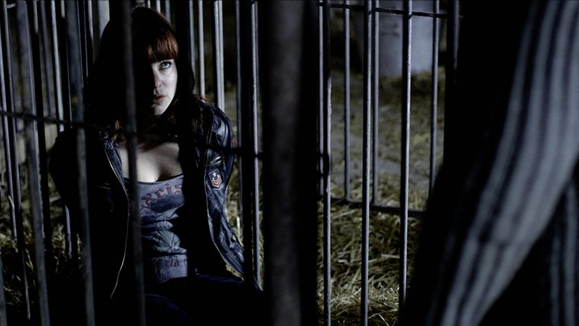 Movie The Pack (2010) HD Wallpaper