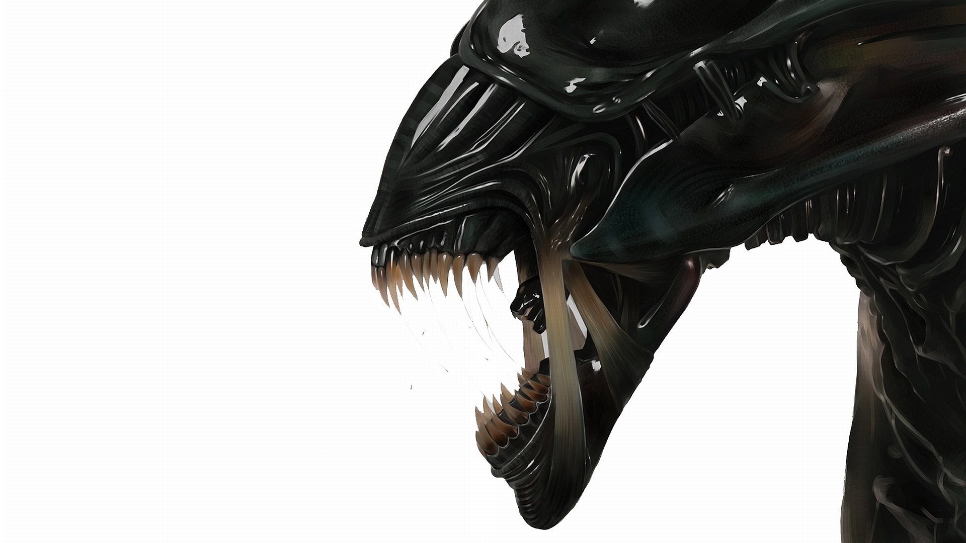 Alien Xenomorph HD Sci-Fi Wallpaper: The Ultimate Extraterrestrial ...