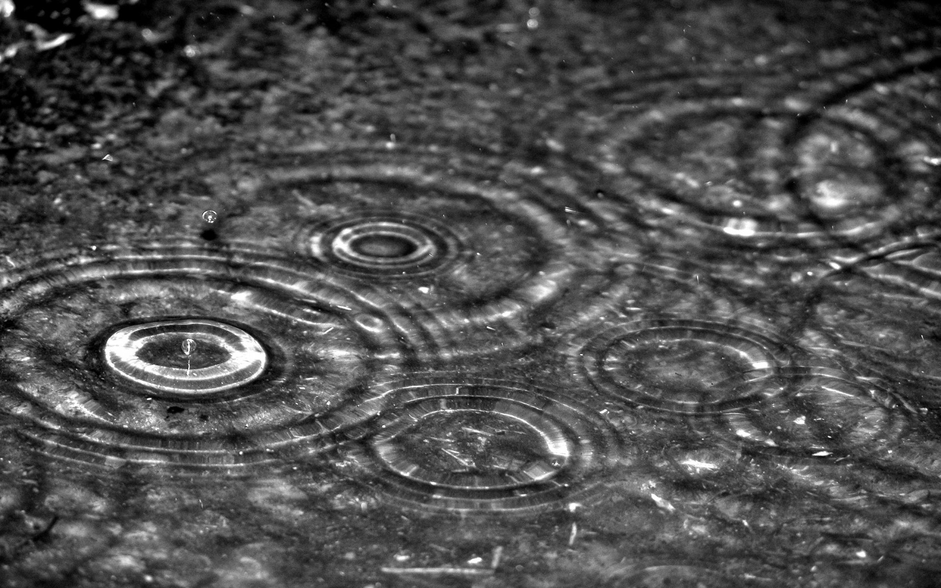 Black & White Rain Photography HD Wallpaper