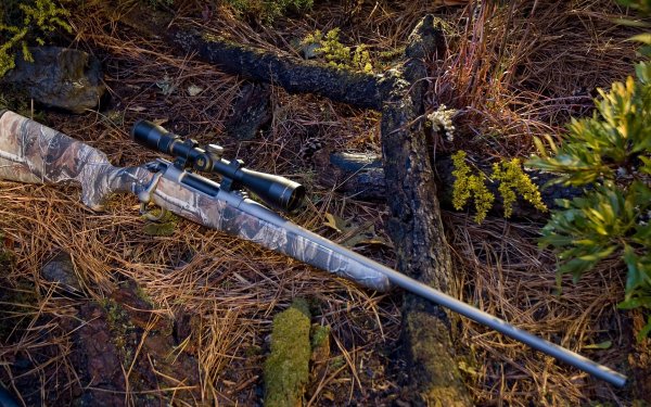 Rifle 4k Ultra HD Wallpaper | Background Image | 4608x3456