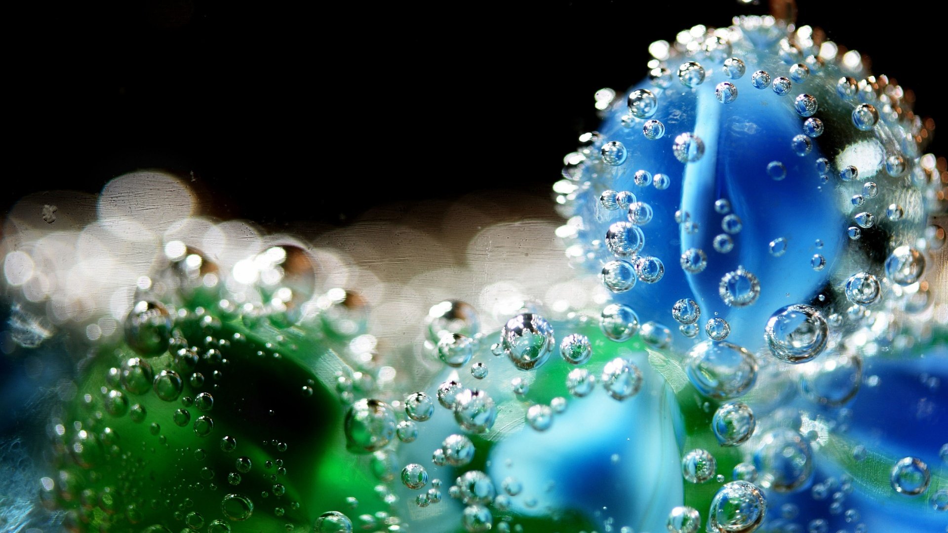 Download Nature Water Drop HD Wallpaper