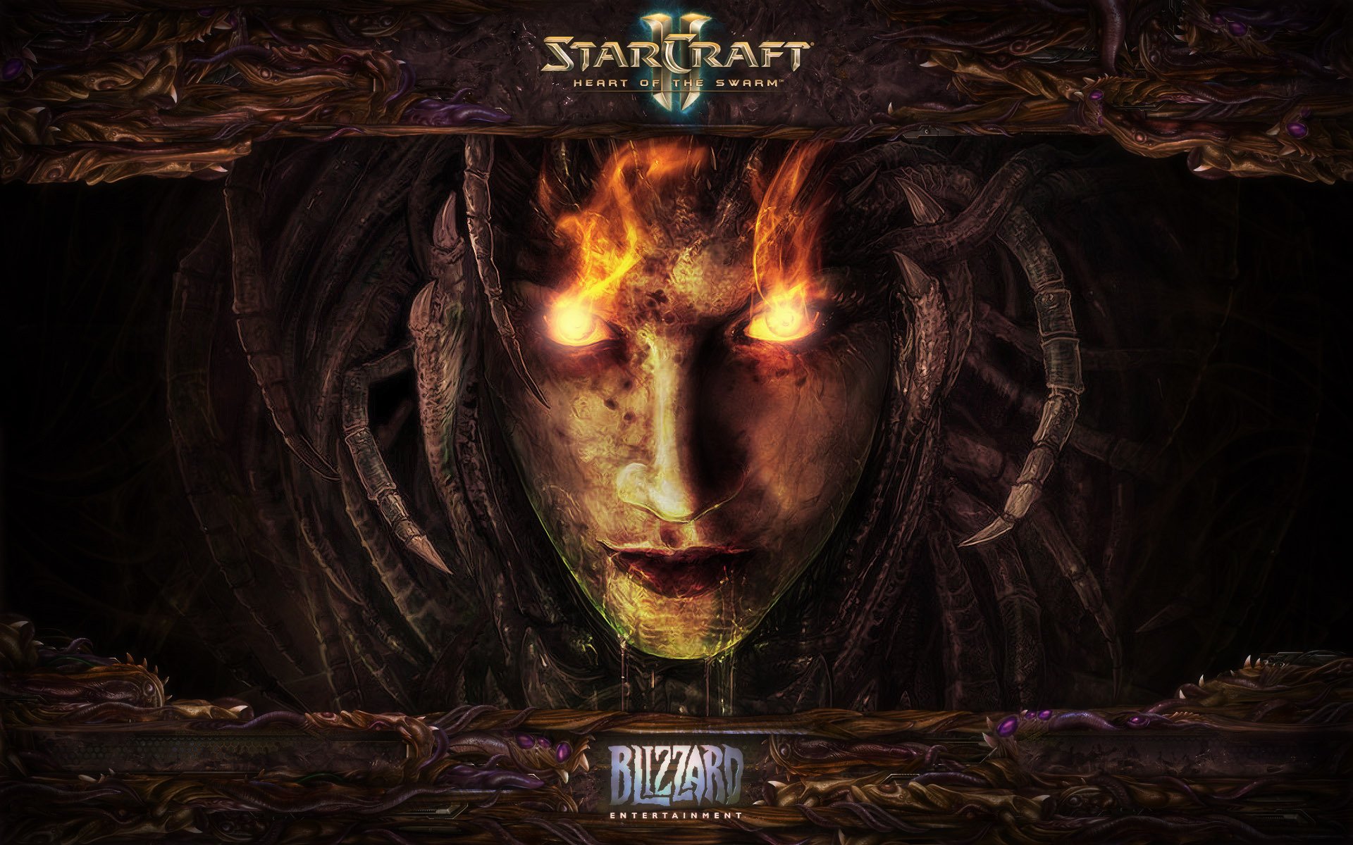 Download Video Game Starcraft HD Wallpaper