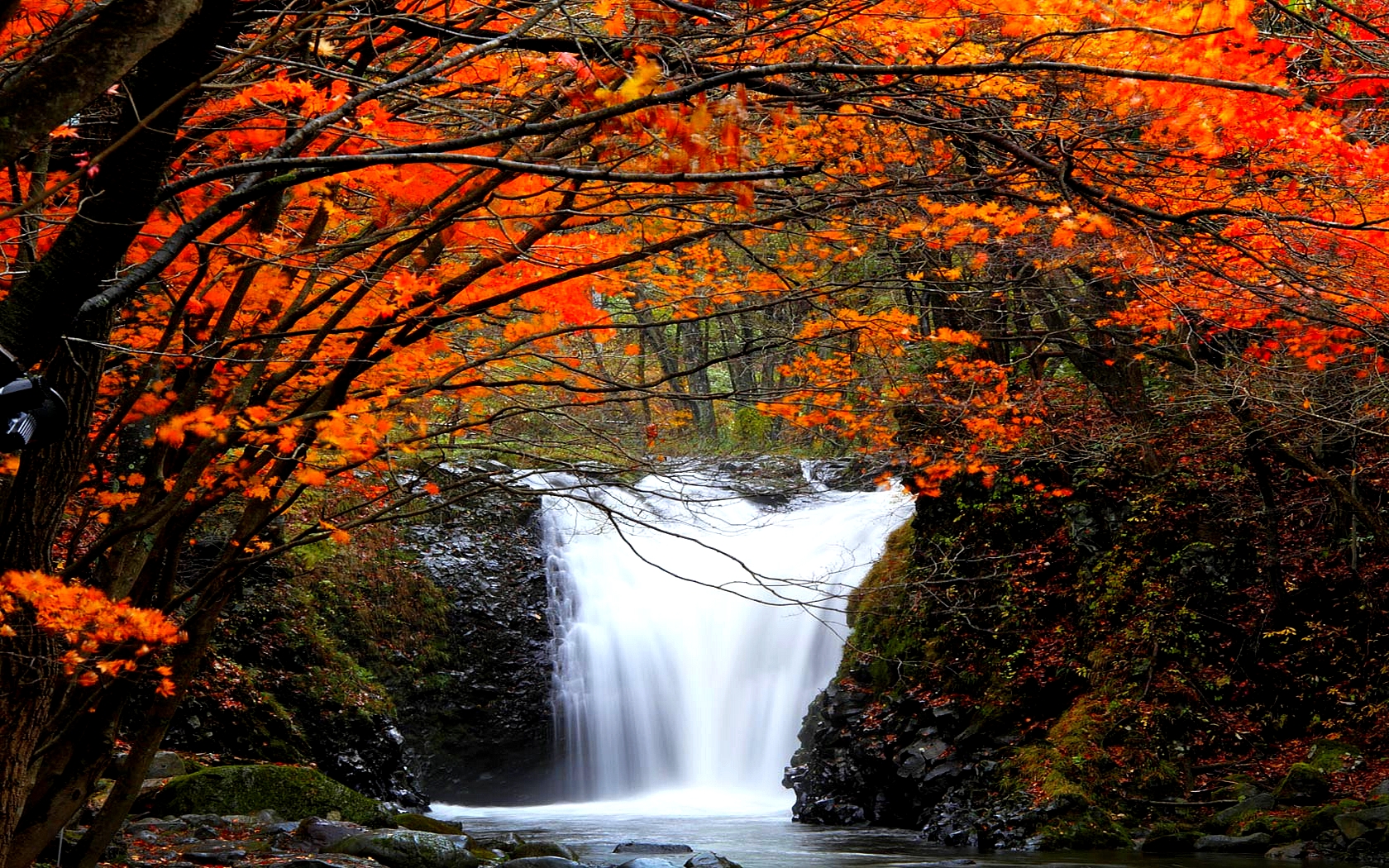 Majestic Fall Waterfall HD Wallpaper in Vibrant Nature