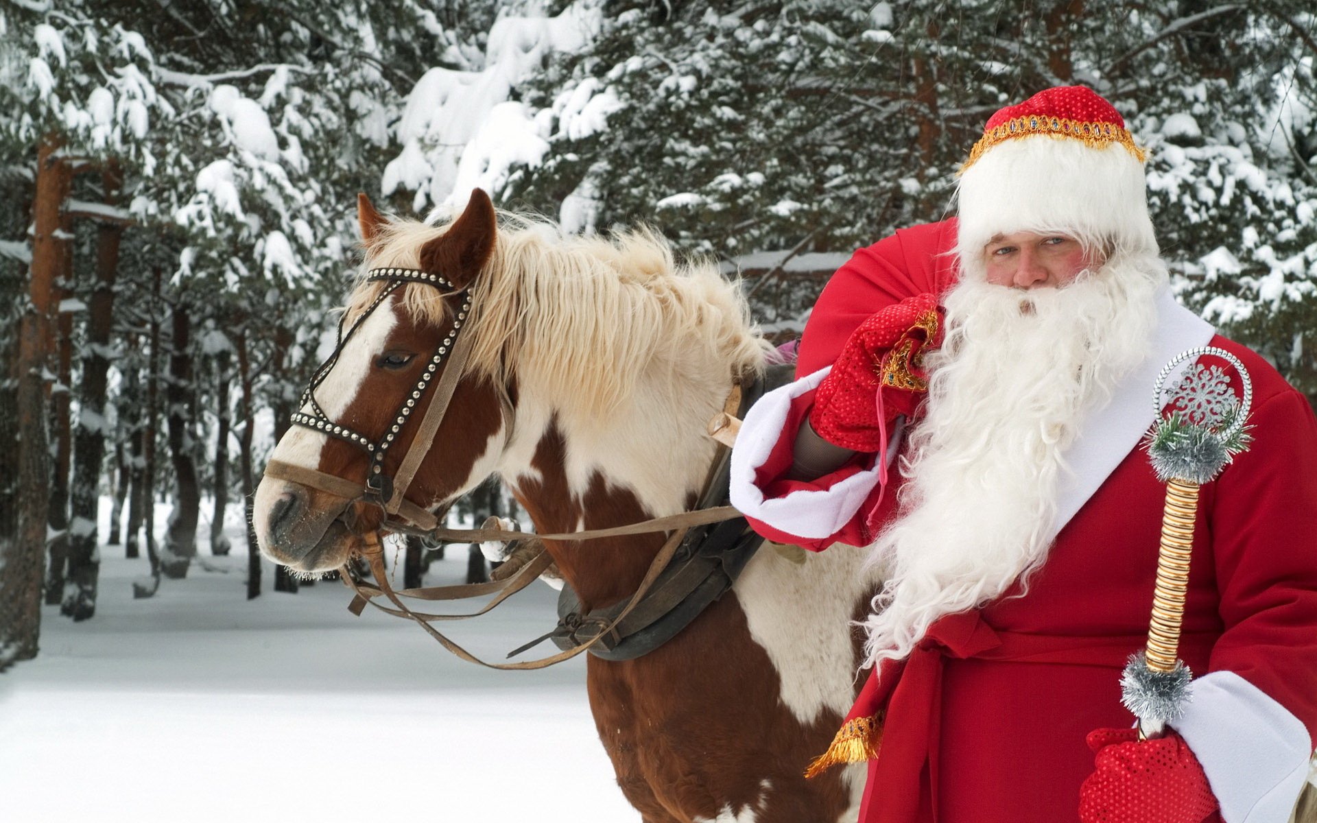 Santa's Winter Ride: HD Christmas Holiday Cheer