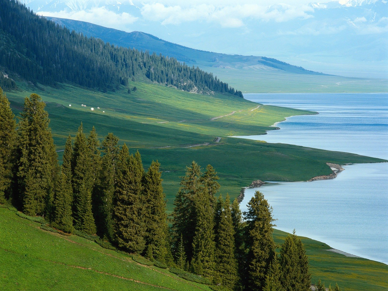 Serene Nature by the Lake | HD Wallpaper