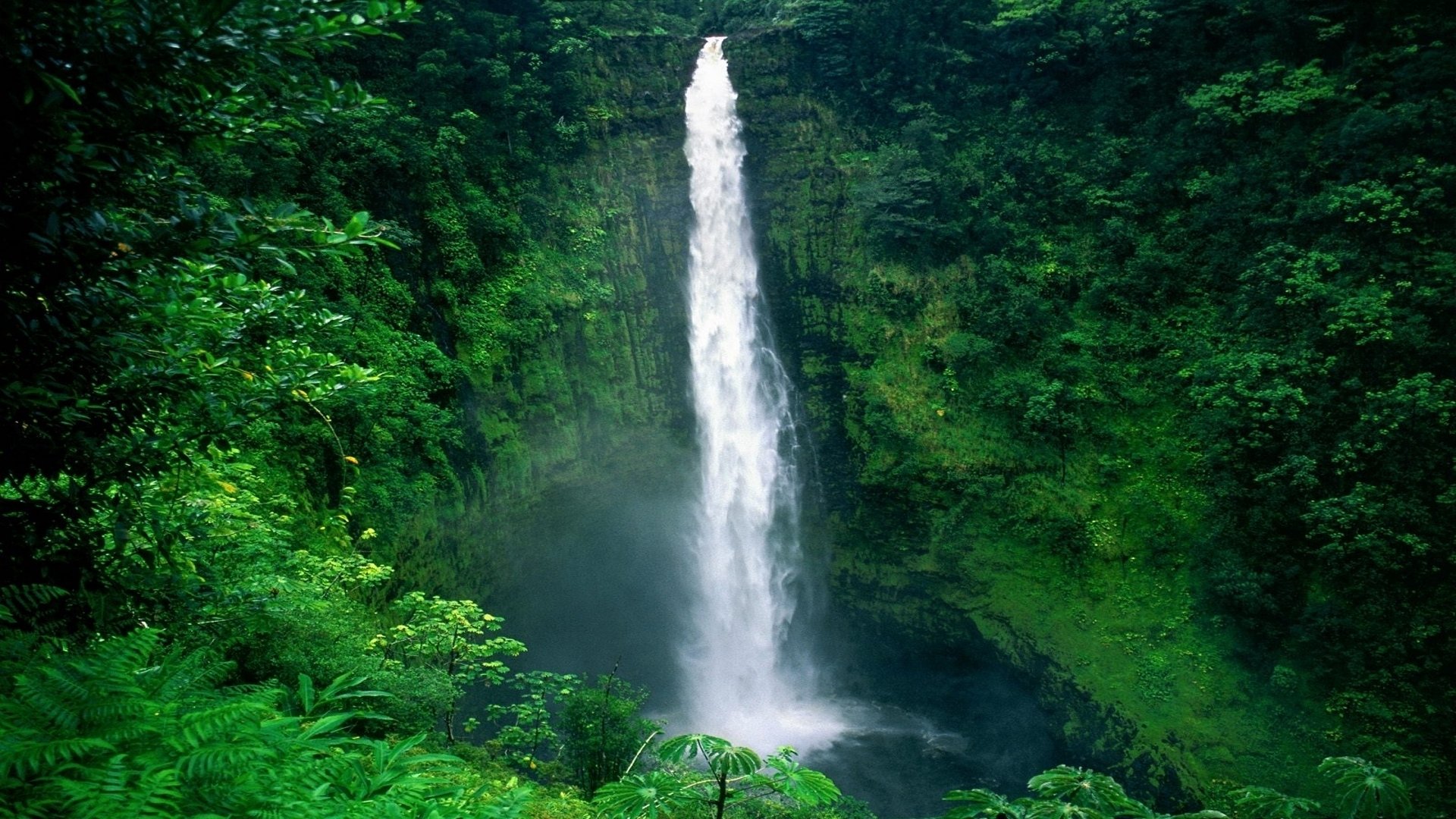 Download Nature Waterfall HD Wallpaper | 1920x1080 | Wallpaper Abyss