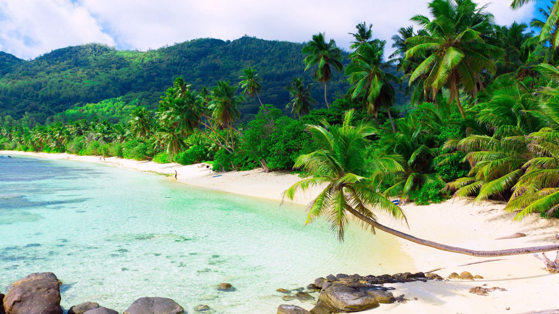 Tropical Cove — 2K Quad HD Beach Photography Wallpaper | 2560x1440 ...