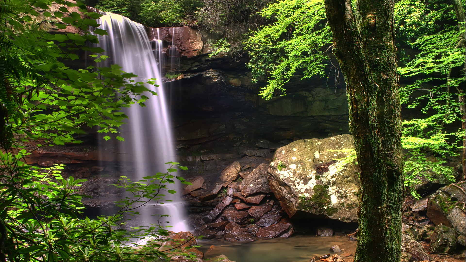 Download Nature Waterfall HD Wallpaper