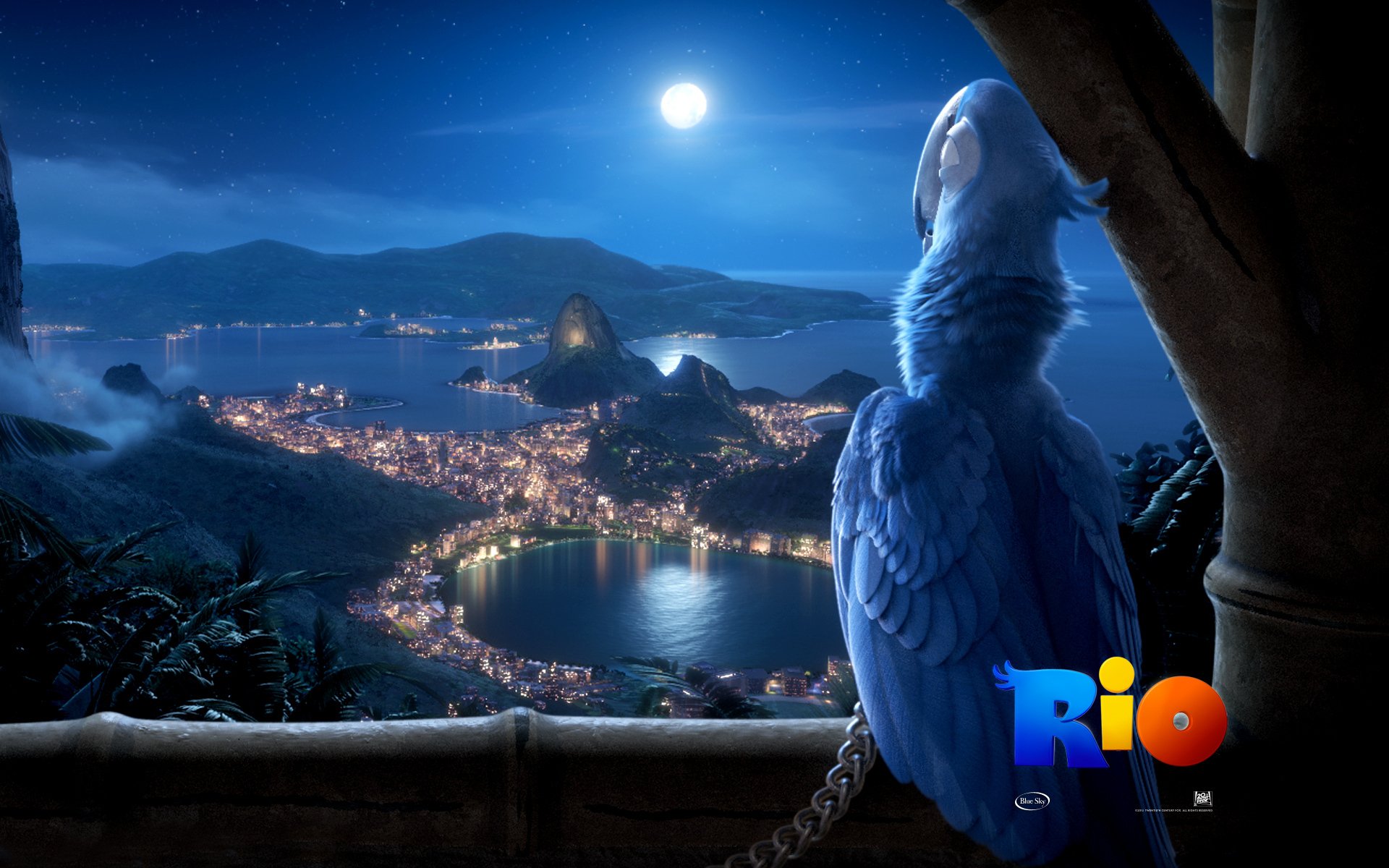 Rio Movie HD Wallpaper: Nighttime View Over Vibrant Cityscape