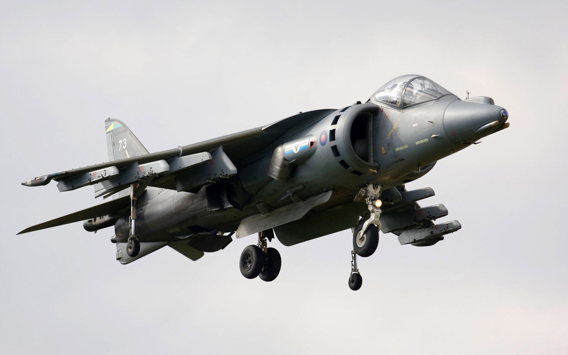 Download Military Hawker Siddeley Harrier HD Wallpaper