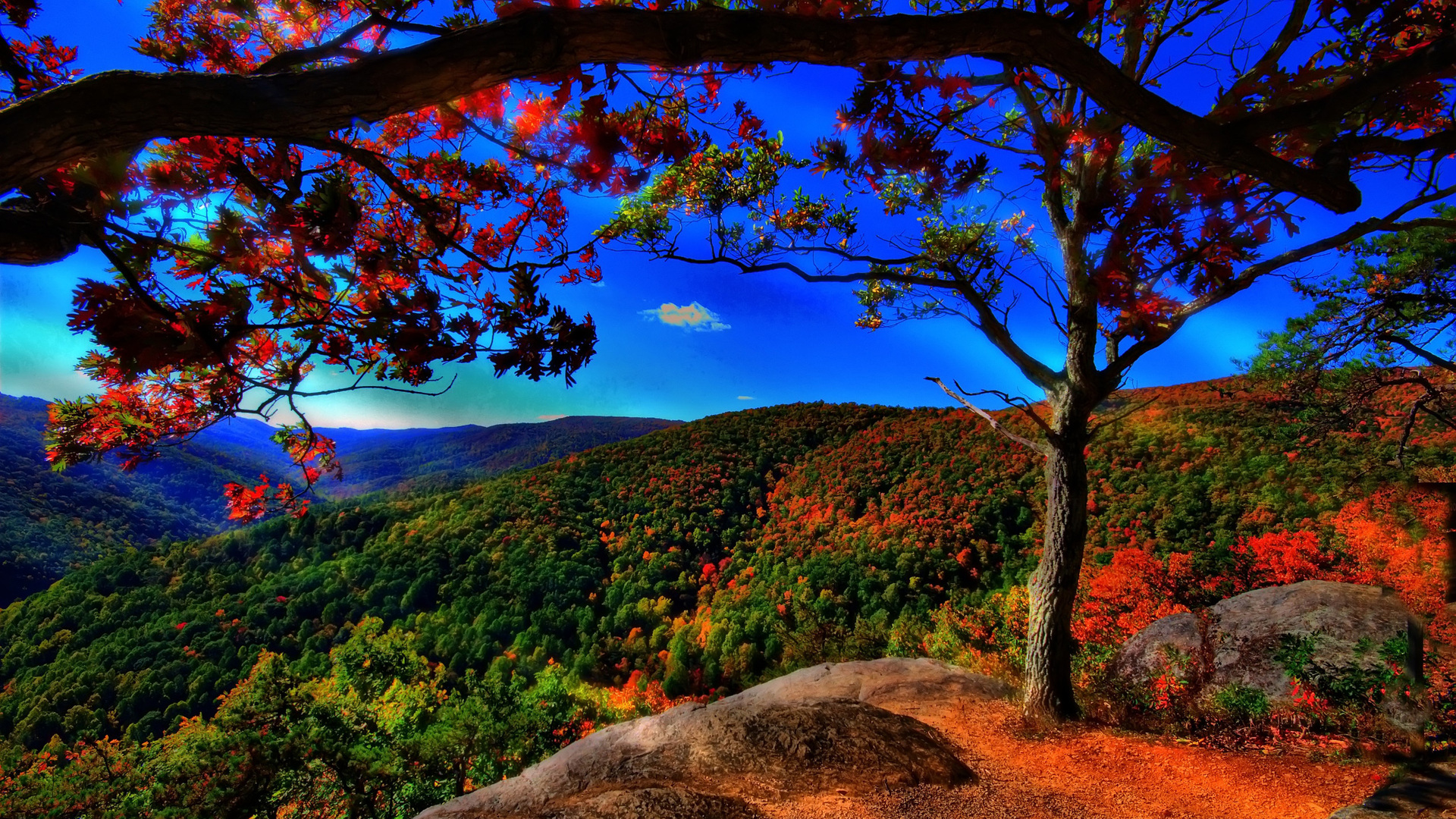 Download Nature Scenic HD Wallpaper
