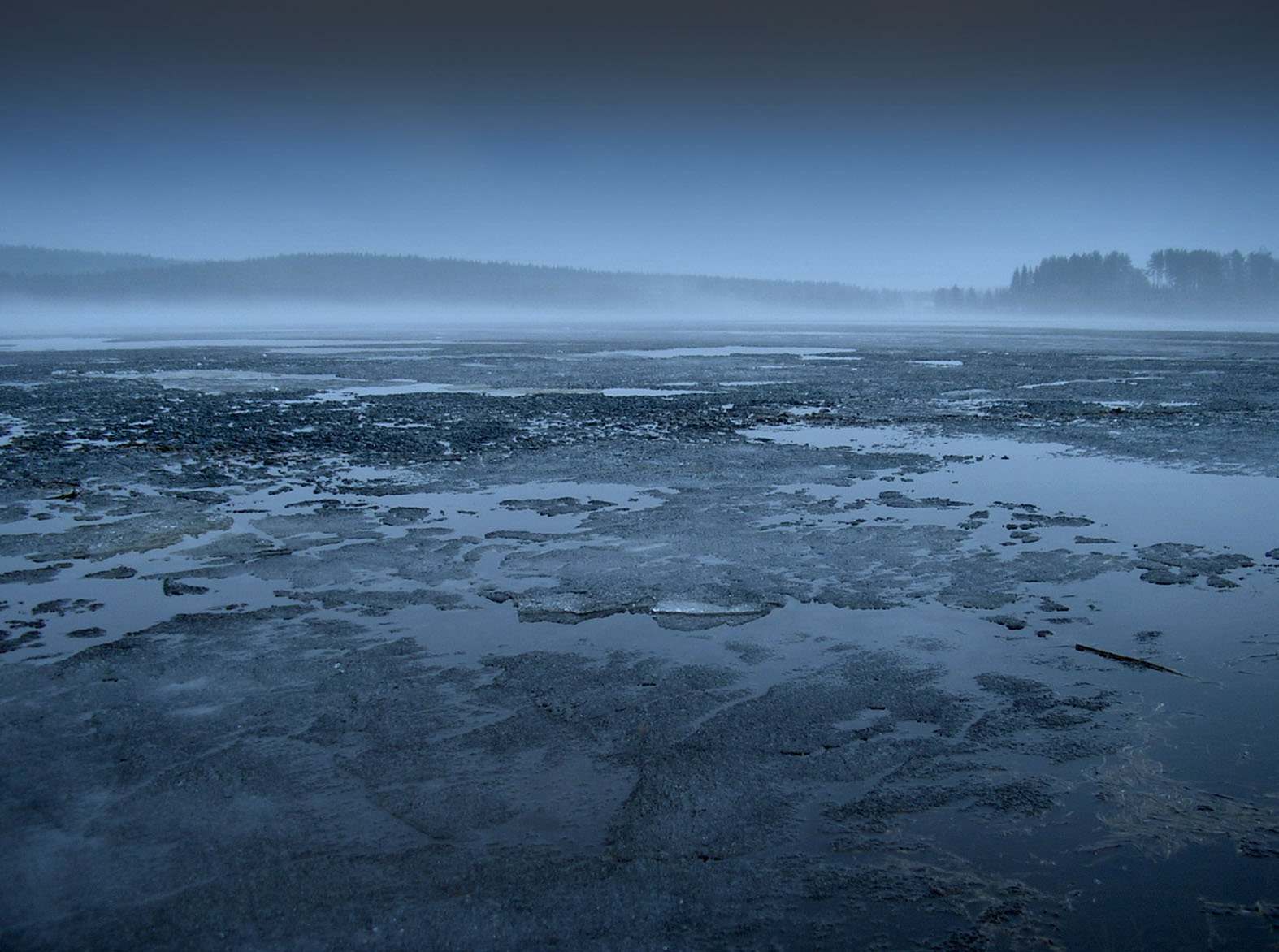 Download Swamp Fog Nature Landscape Wallpaper