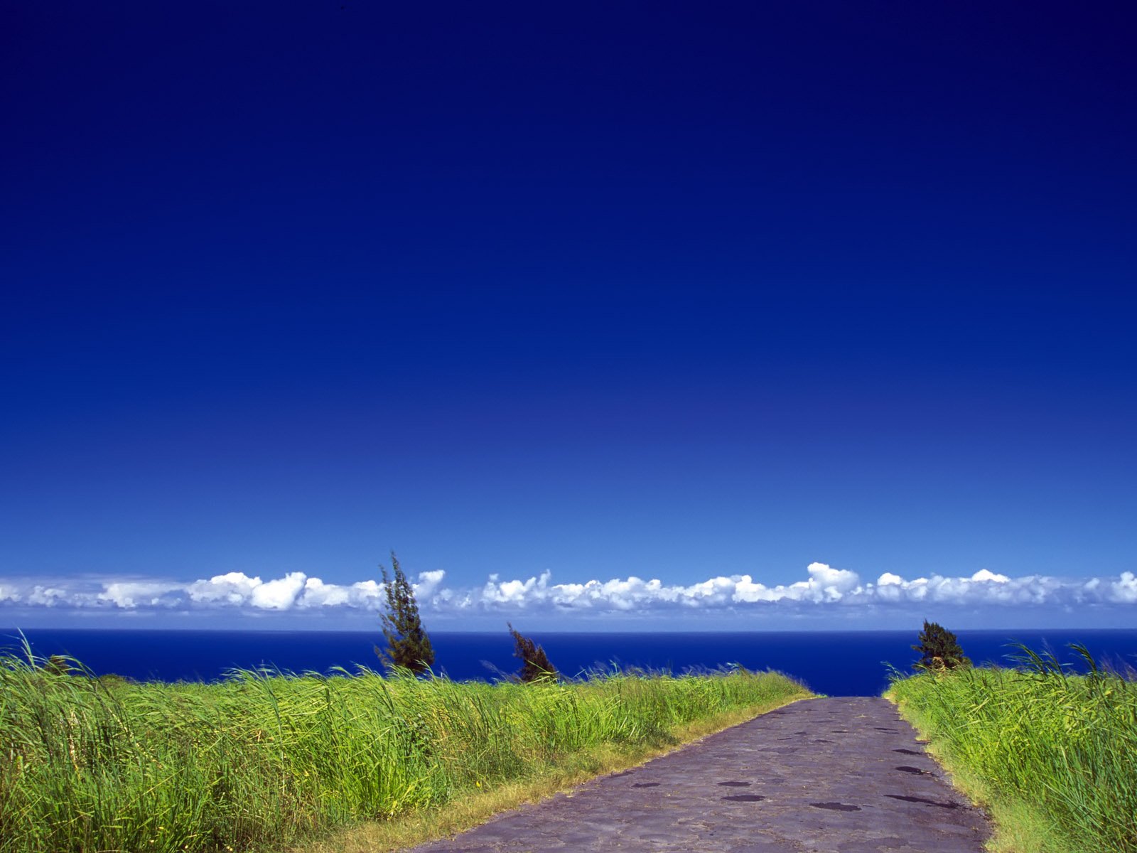 Serene Road to Sky and Ocean - HD Wallpaper