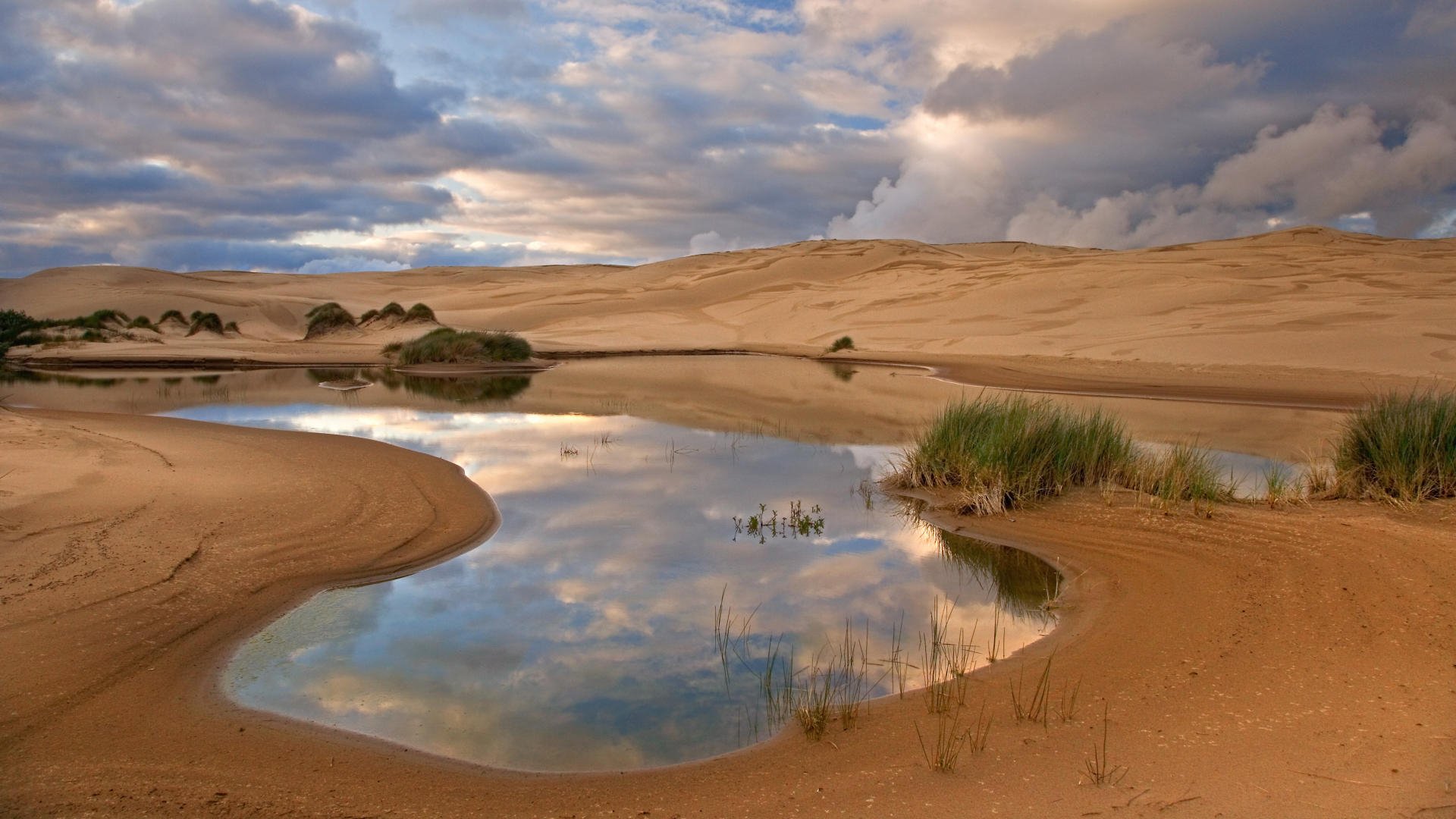 Download Sand Dune Water Nature Desert HD Wallpaper