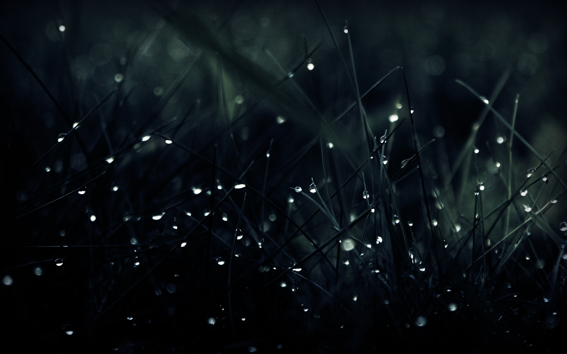 Download Nature Water Drop HD Wallpaper