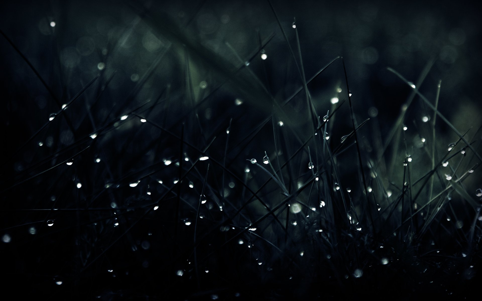 Download Nature Water Drop HD Wallpaper | 1920x1200 | Wallpaper Abyss