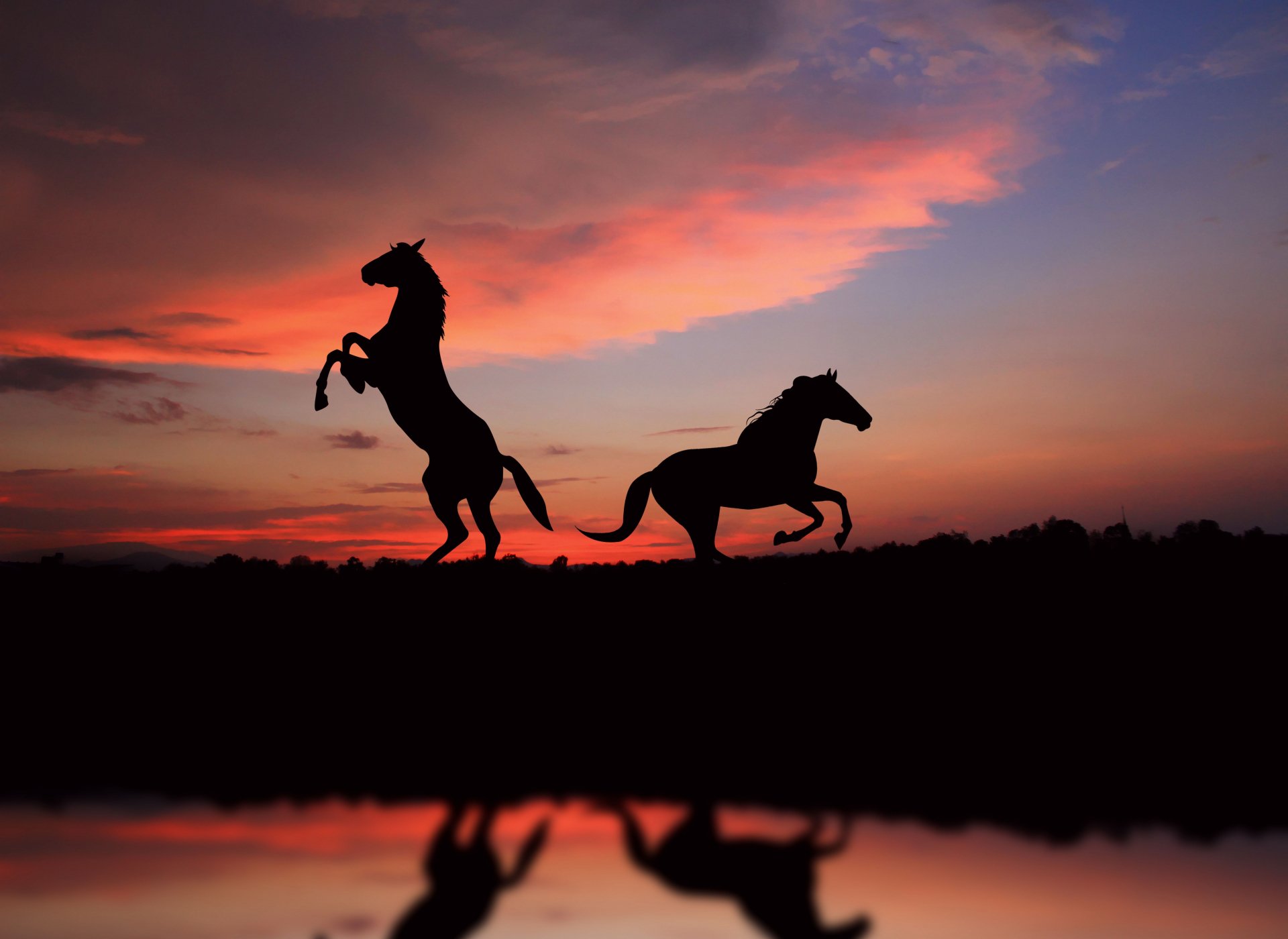Majestic Horse Sunset Silhouette - 4K Ultra HD Wallpaper